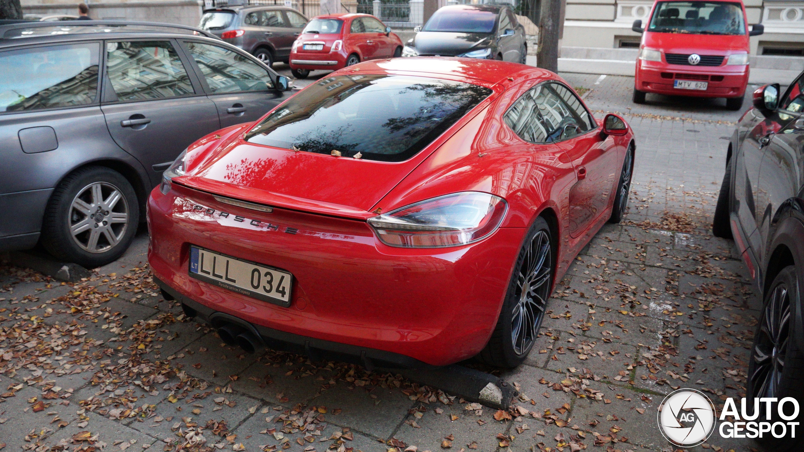 Porsche 981 Cayman GTS - 08 September 2025 - Autogespot