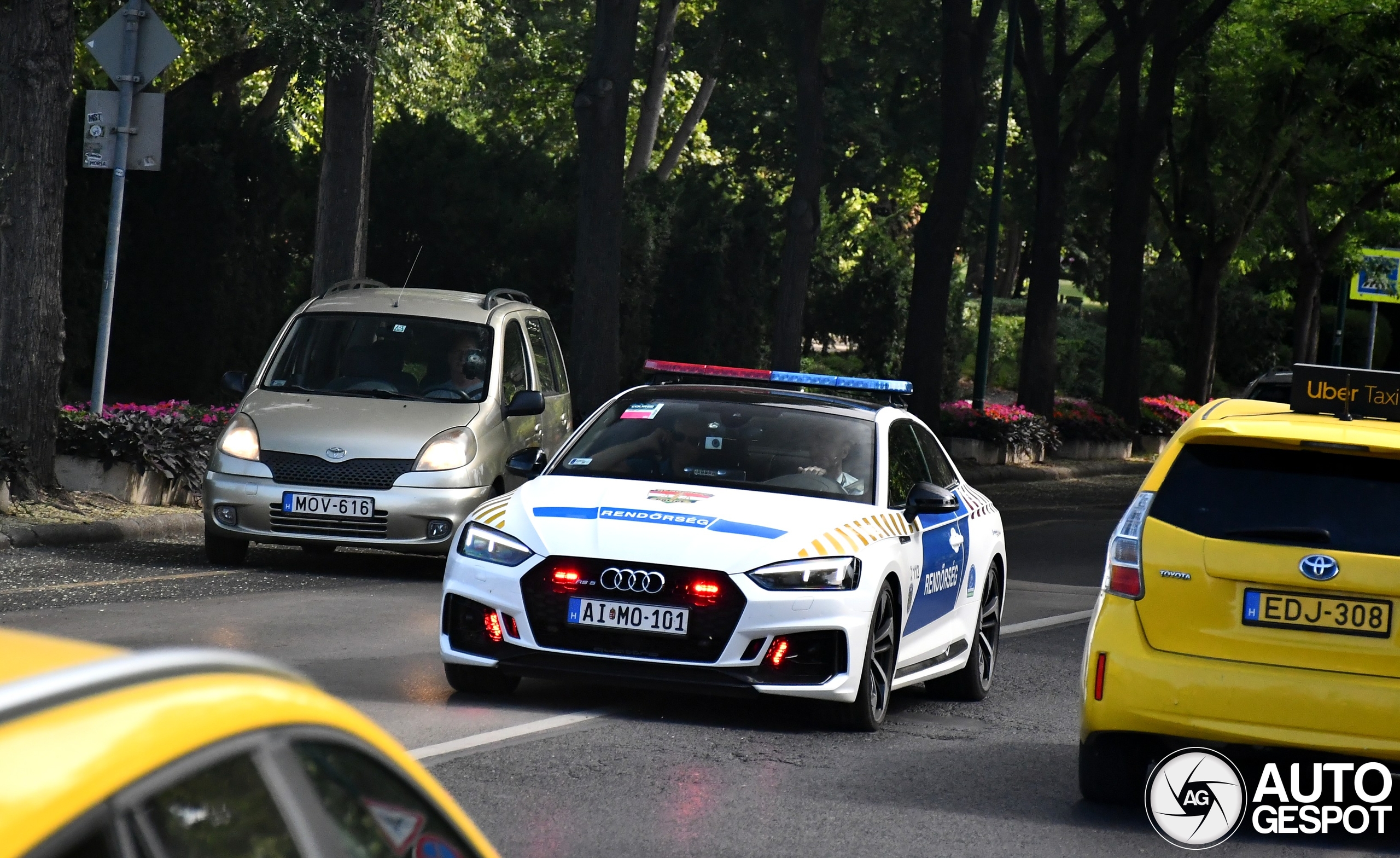 Audi RS5 B9 Police - 14 September 2025 - Autogespot