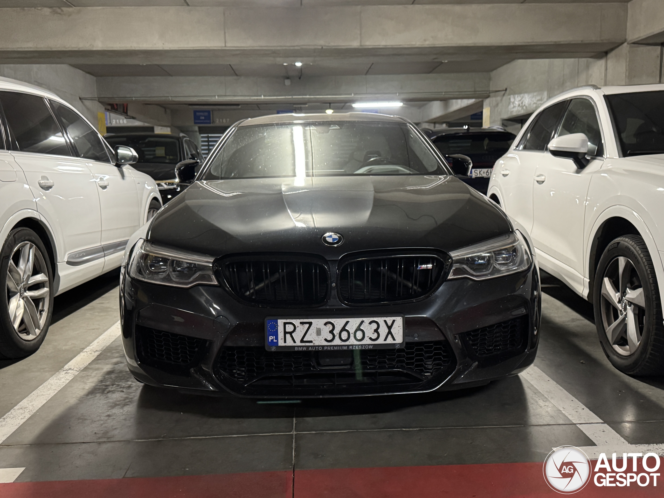 BMW M5 F90 - 25 September 2025 - Autogespot