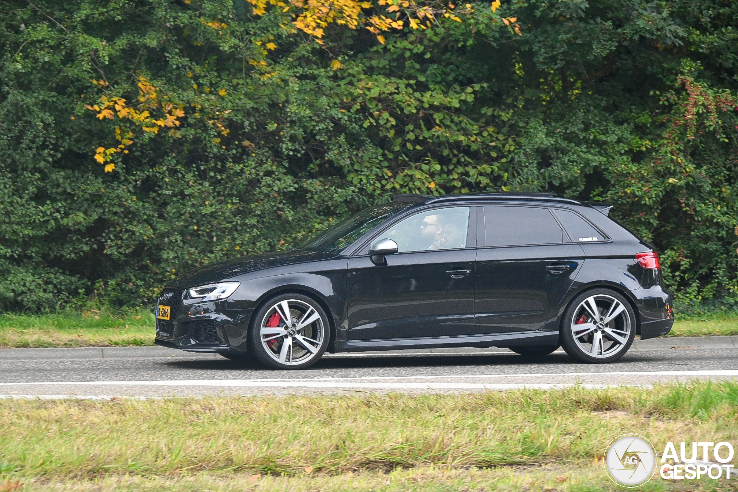 Audi RS3 Sportback 8V 2018 - 17 October 2025 - Autogespot