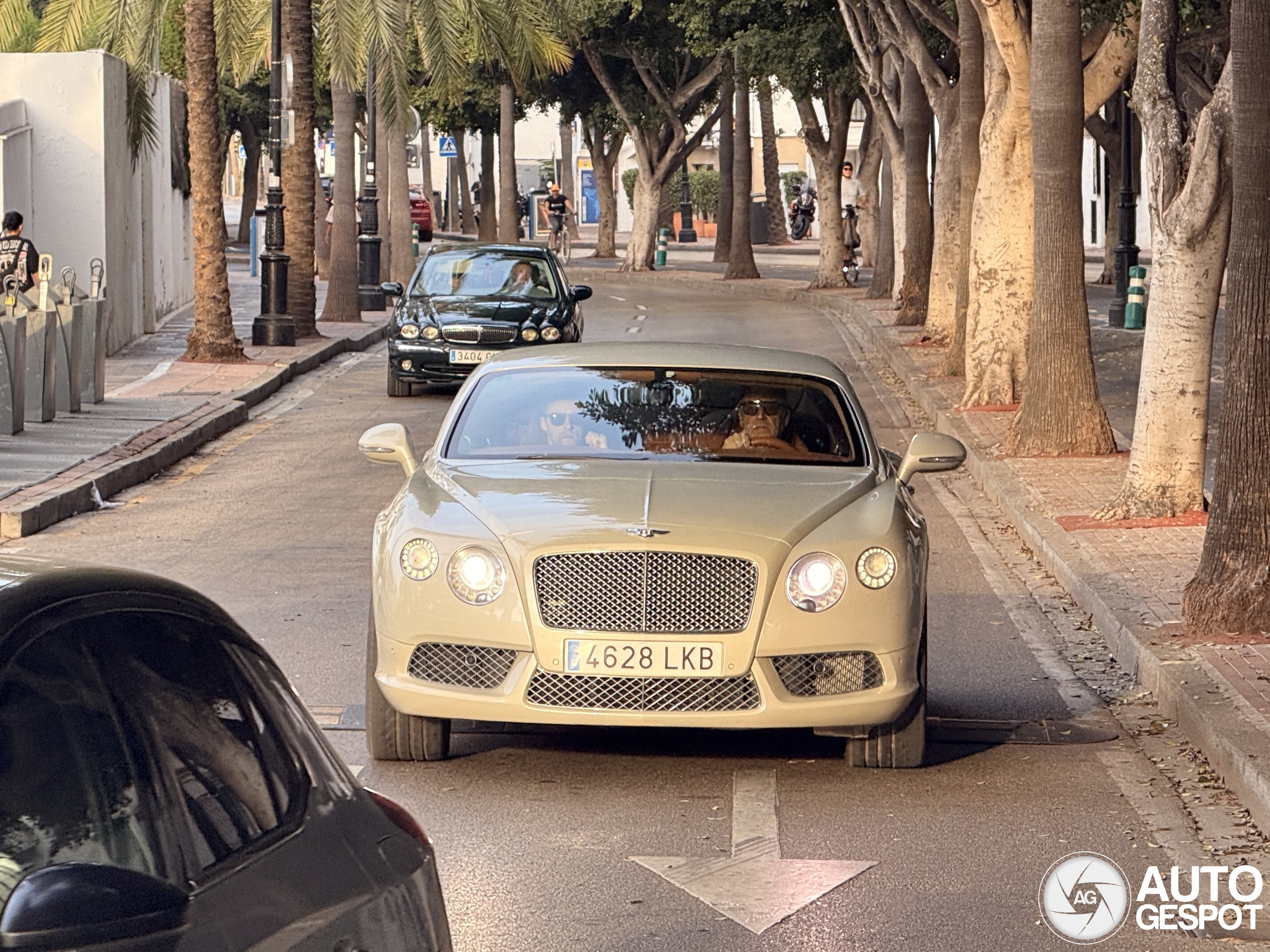 Bentley Continental GT V8 - 20 October 2025 - Autogespot