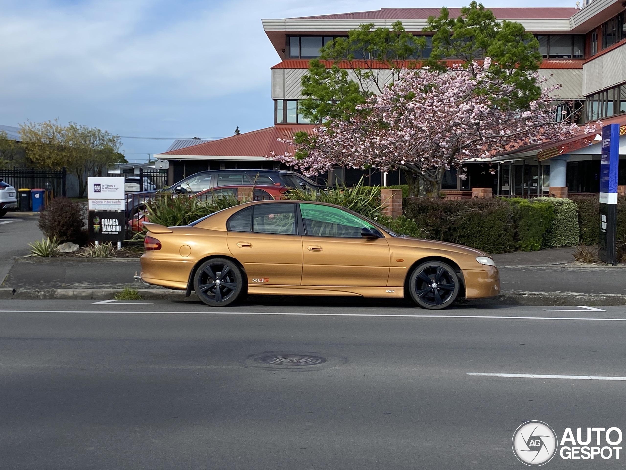 Holden HSV VT XU6 - 23 October 2025 - Autogespot