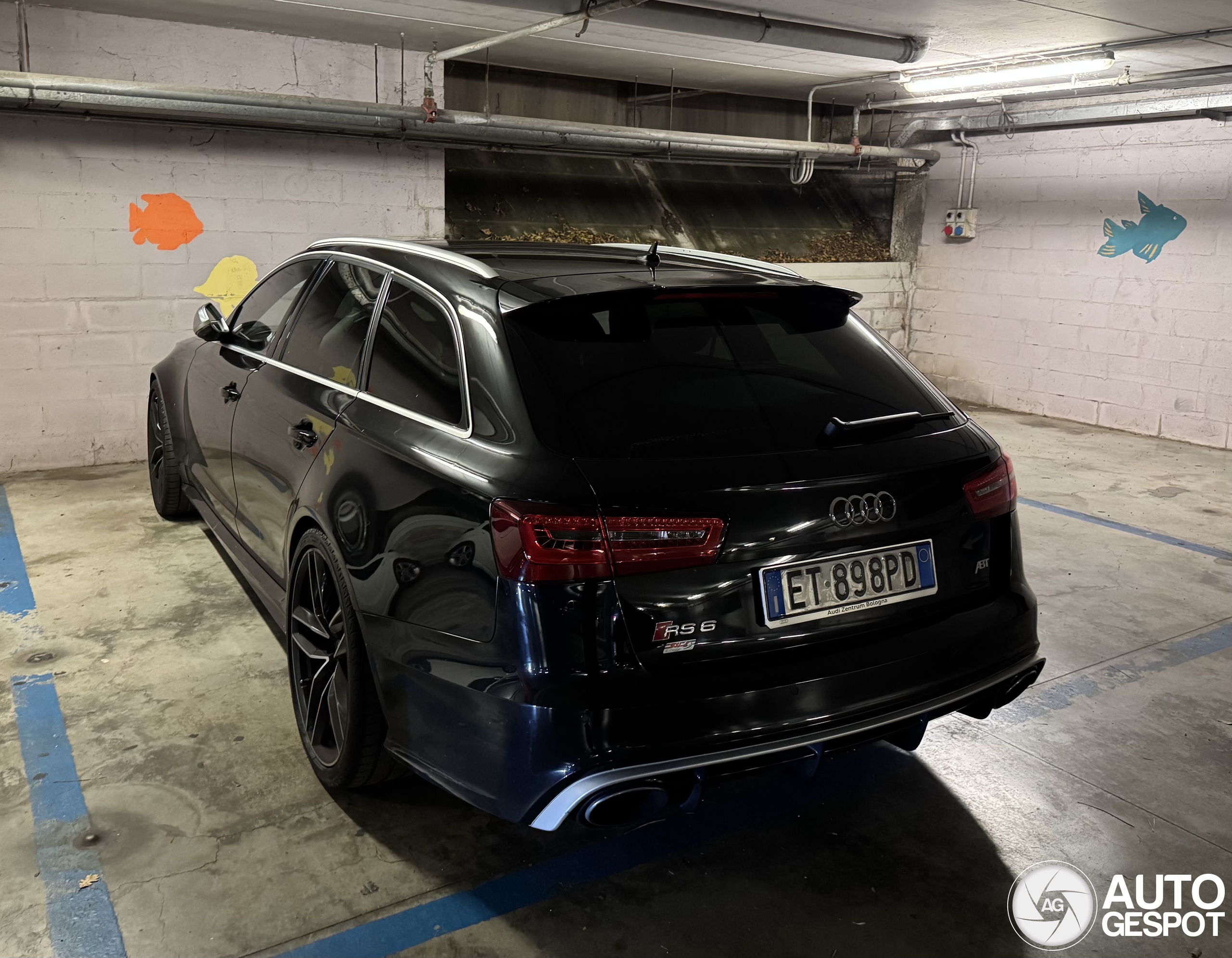 Audi RS6 Avant C7 - 02 November 2025 - Autogespot