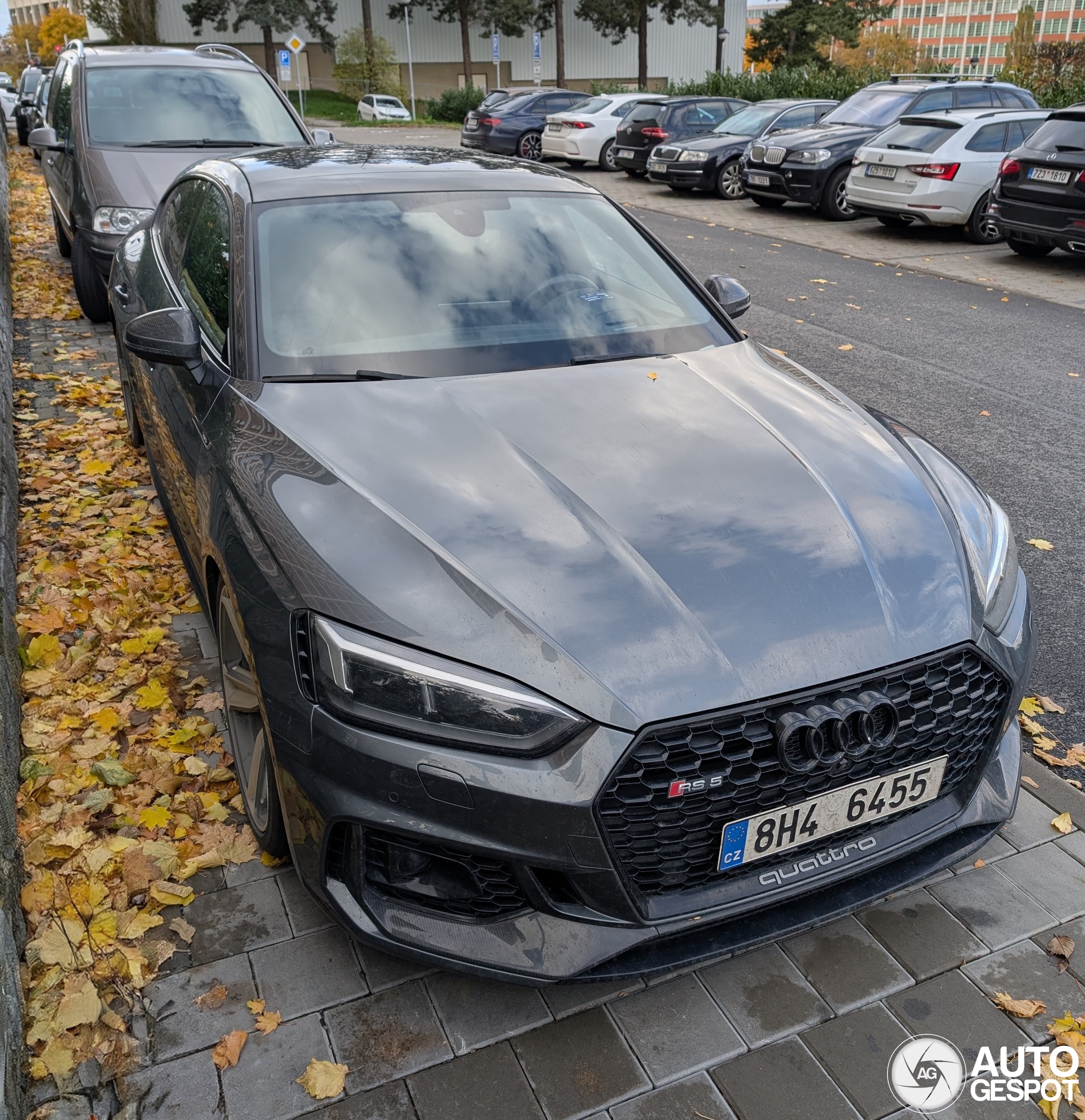 Audi RS5 Sportback B9 - 06 November 2025 - Autogespot