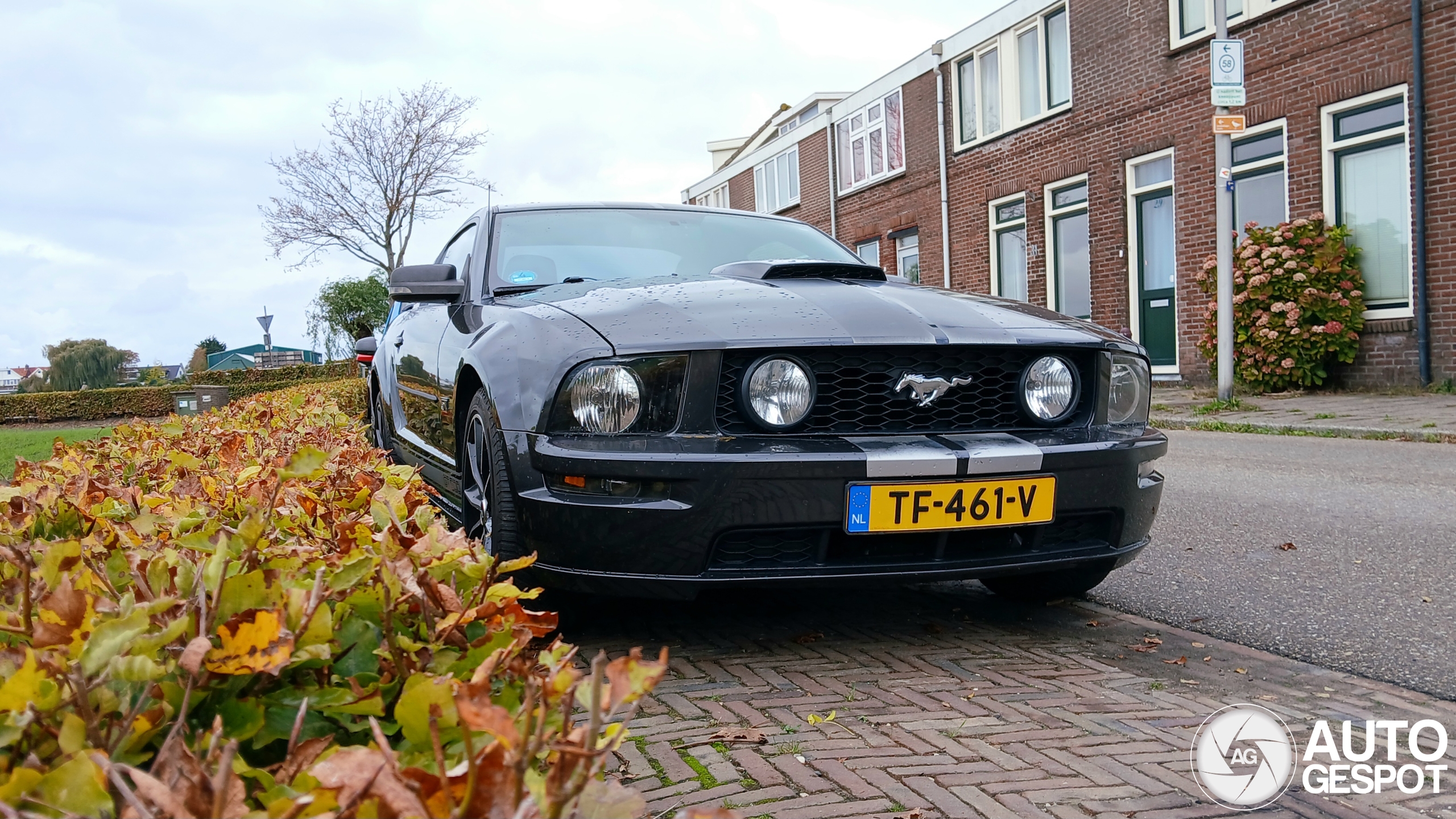 Ford Mustang GT - 06 November 2025 - Autogespot