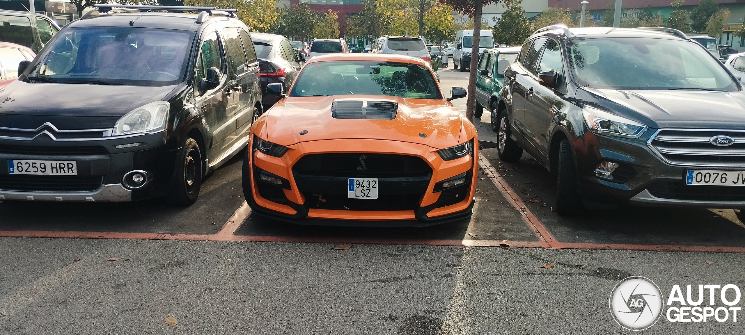 Ford Mustang Shelby GT500 2020 - 24 December 2025 - Autogespot