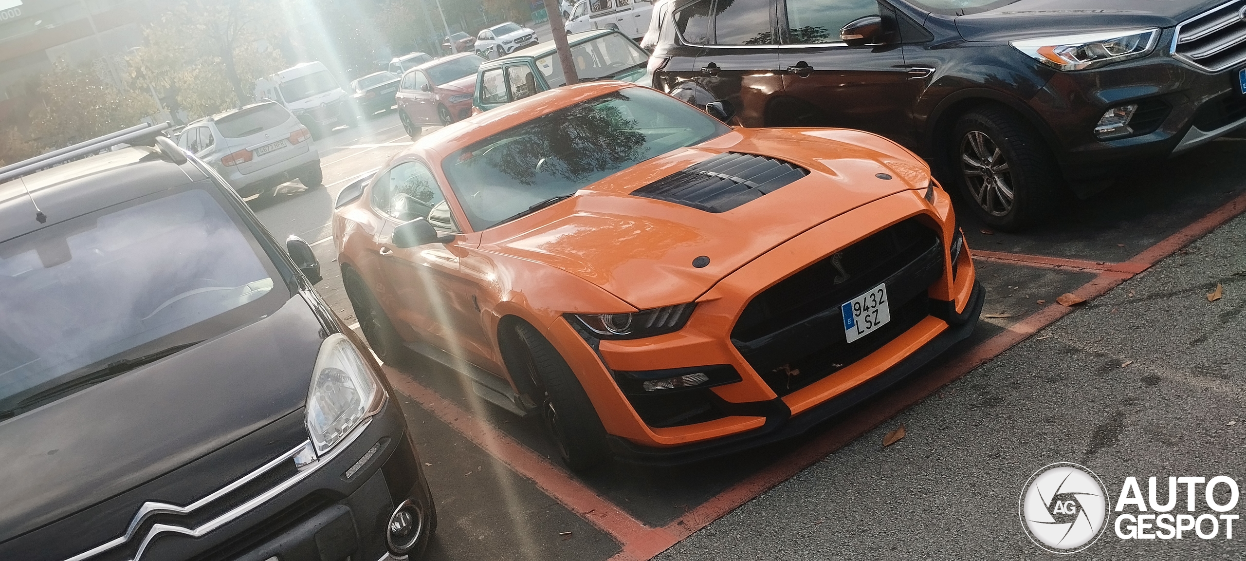 Ford Mustang Shelby GT500 2020 - 24 December 2025 - Autogespot