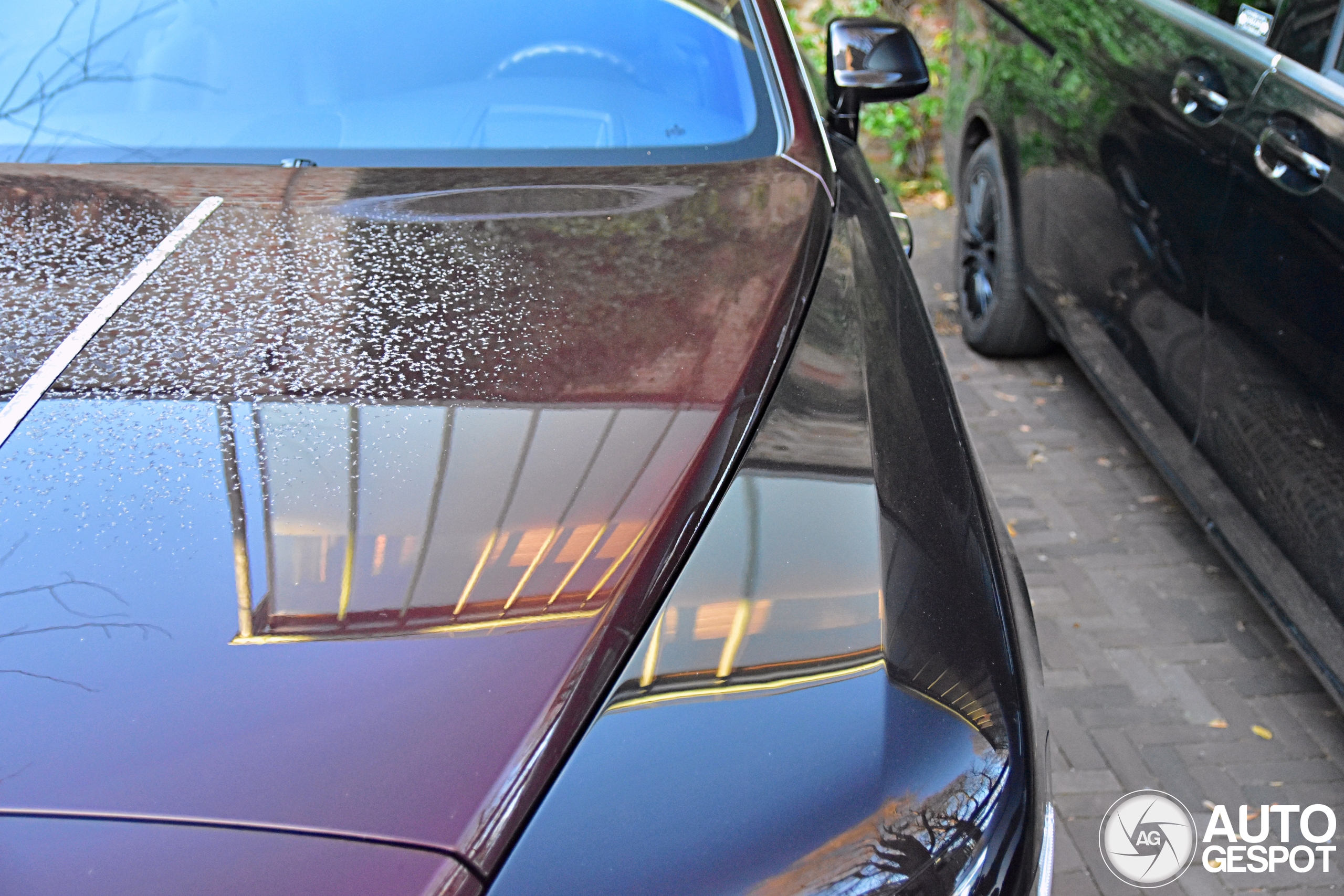 Rolls-Royce Wraith - 27 December 2025 - Autogespot