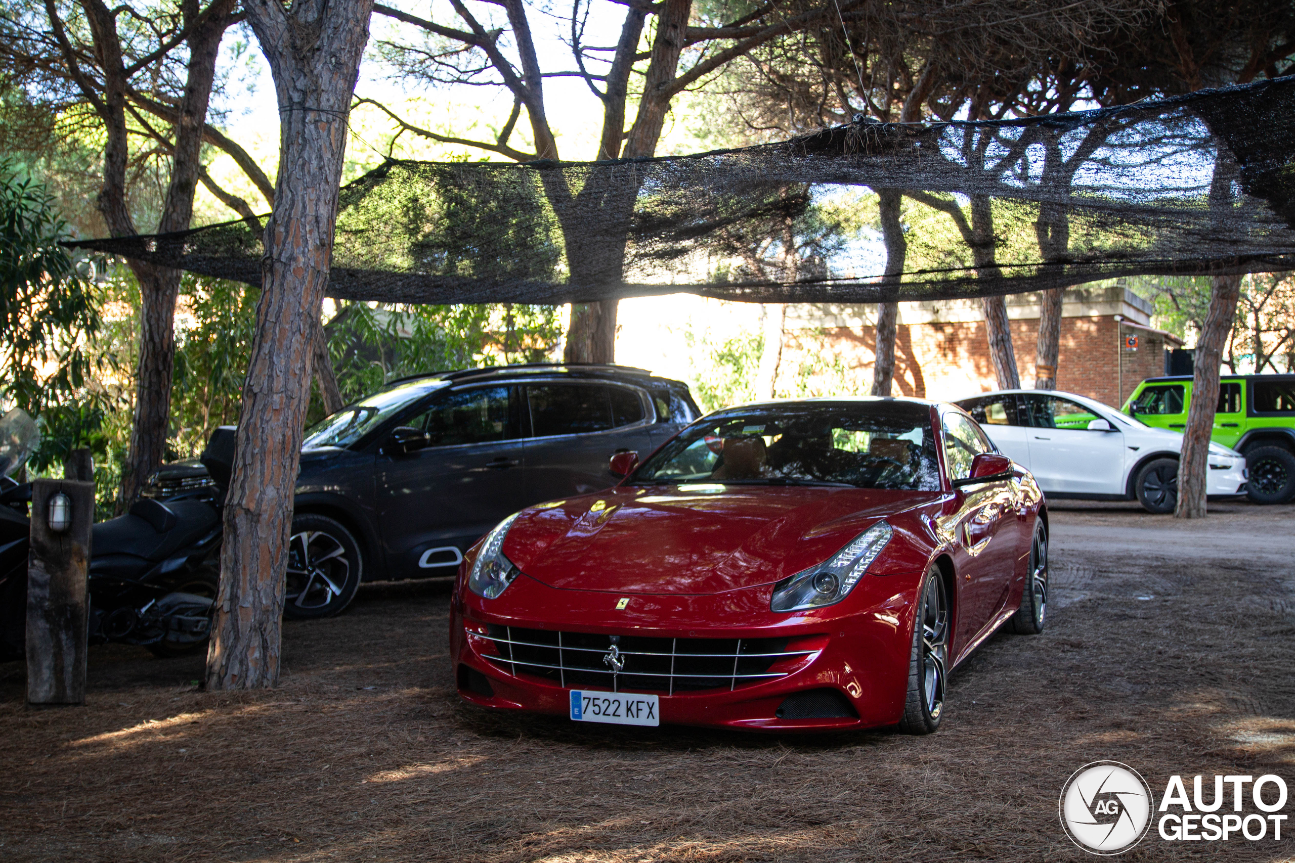 Ferrari FF - 11 January 2026 - Autogespot