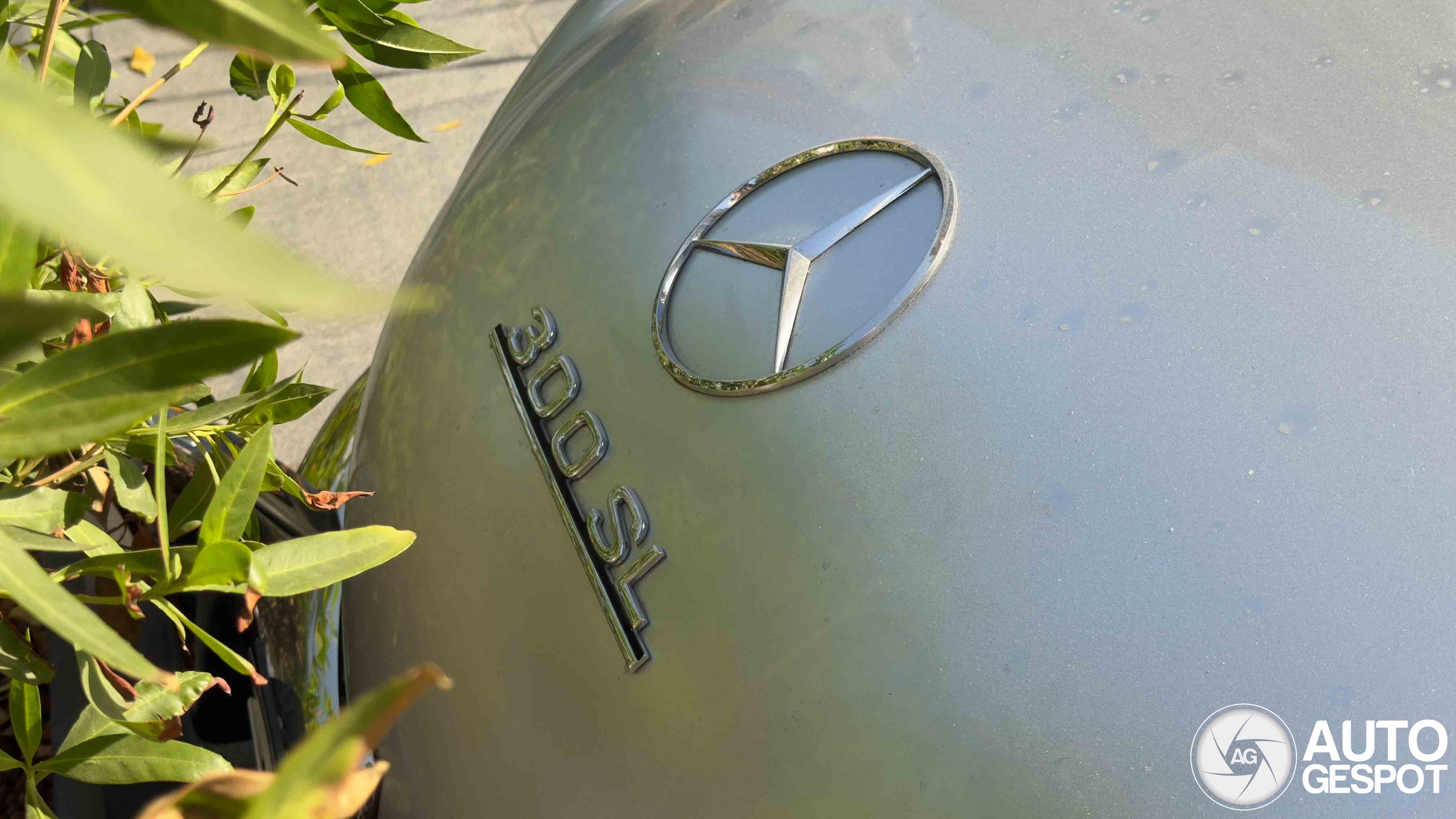 Mercedes-Benz 300SL Gullwing - 14 January 2026 - Autogespot