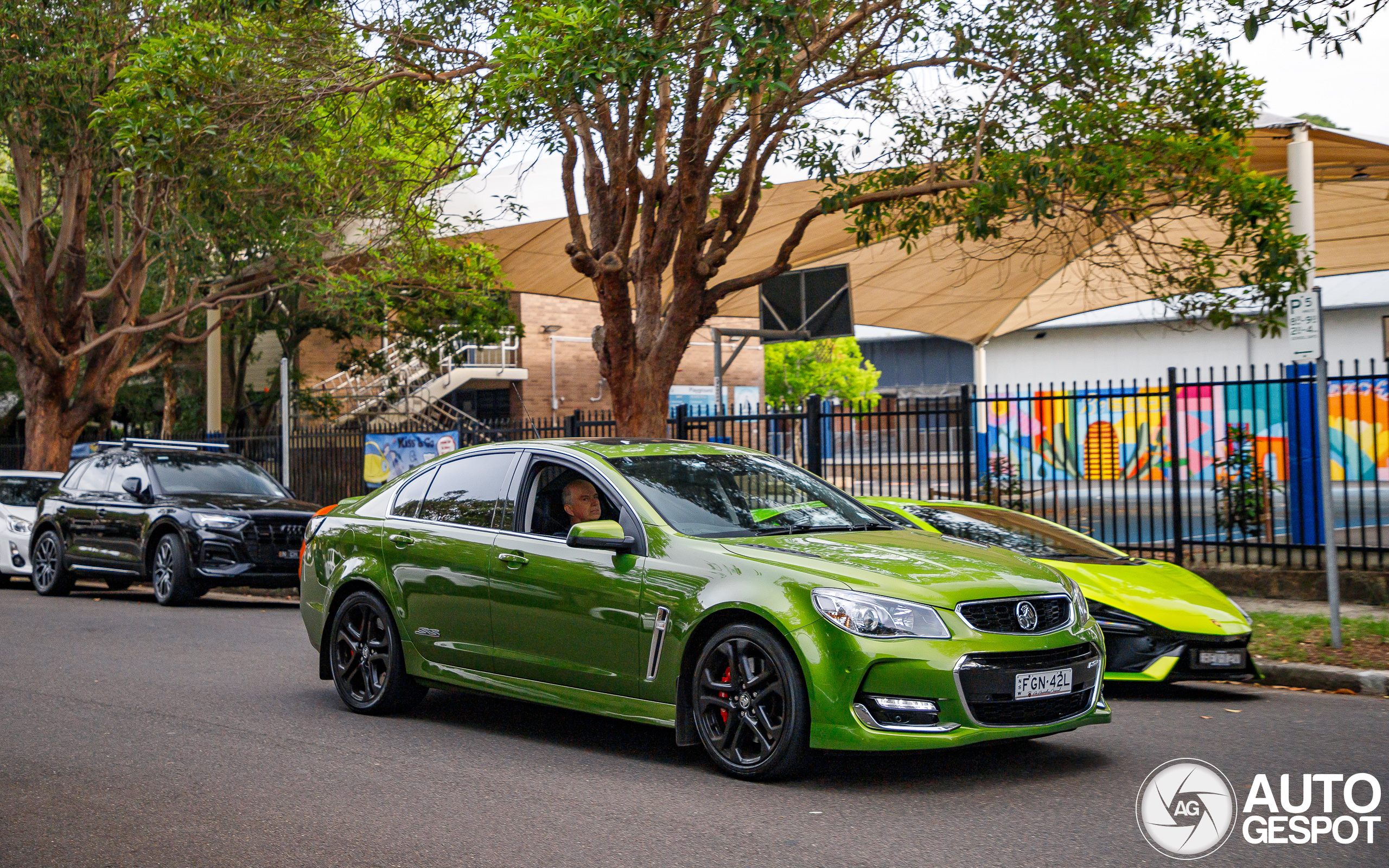 Holden VF Series II Commodore SS V Redline - 05 February 2026 - Autogespot