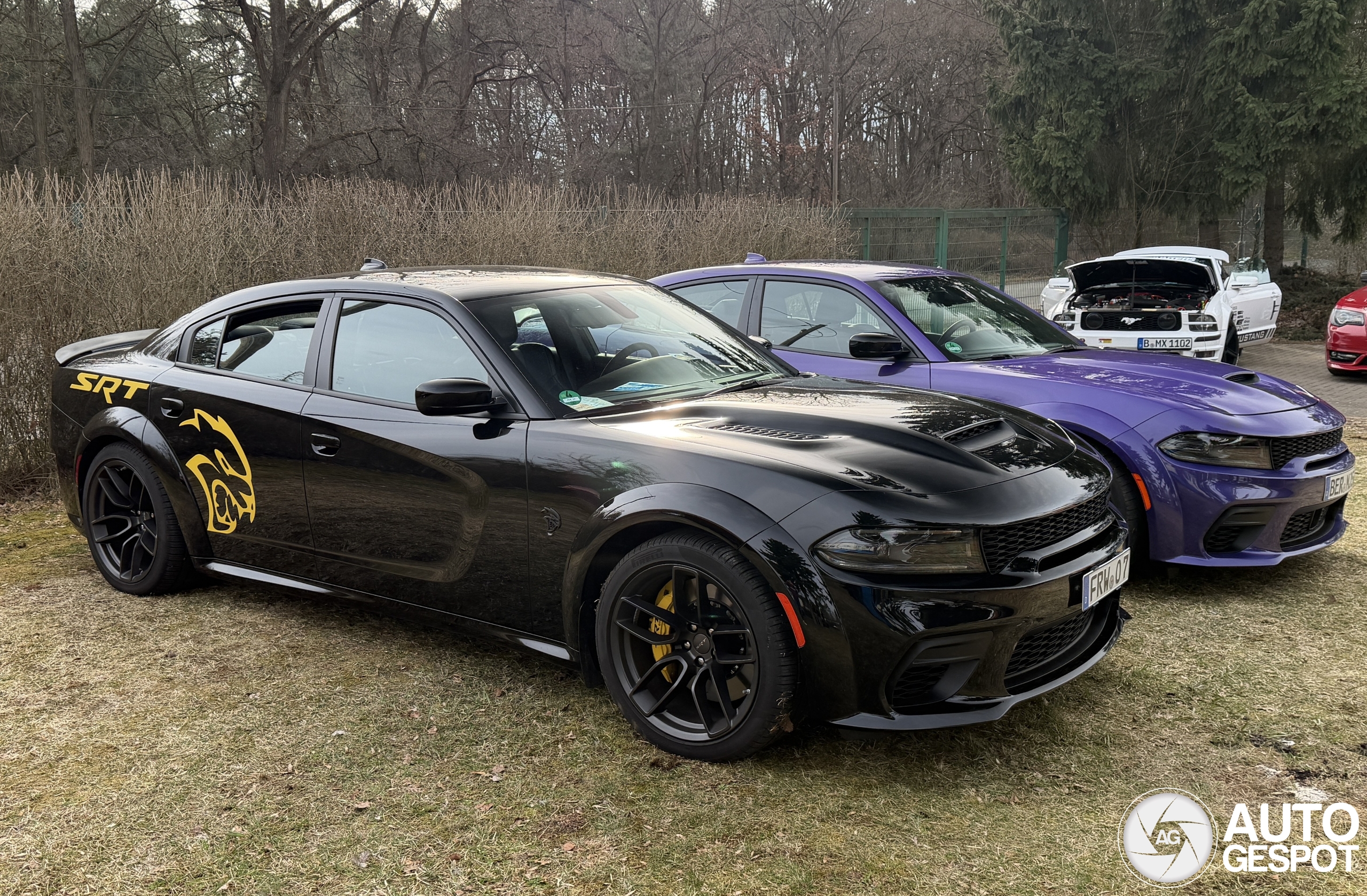 Dodge Charger SRT Hellcat Widebody - 17 March 2026 - Autogespot