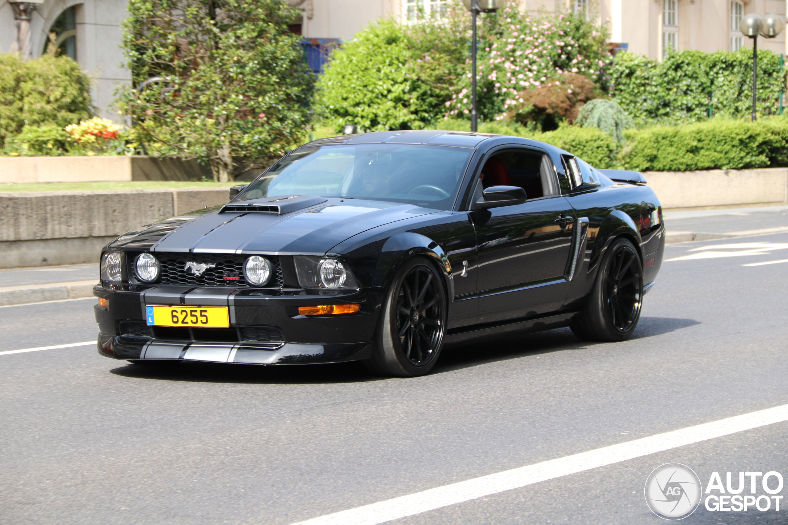 Ford Mustang Shelby GT - 31 May 2026 - Autogespot