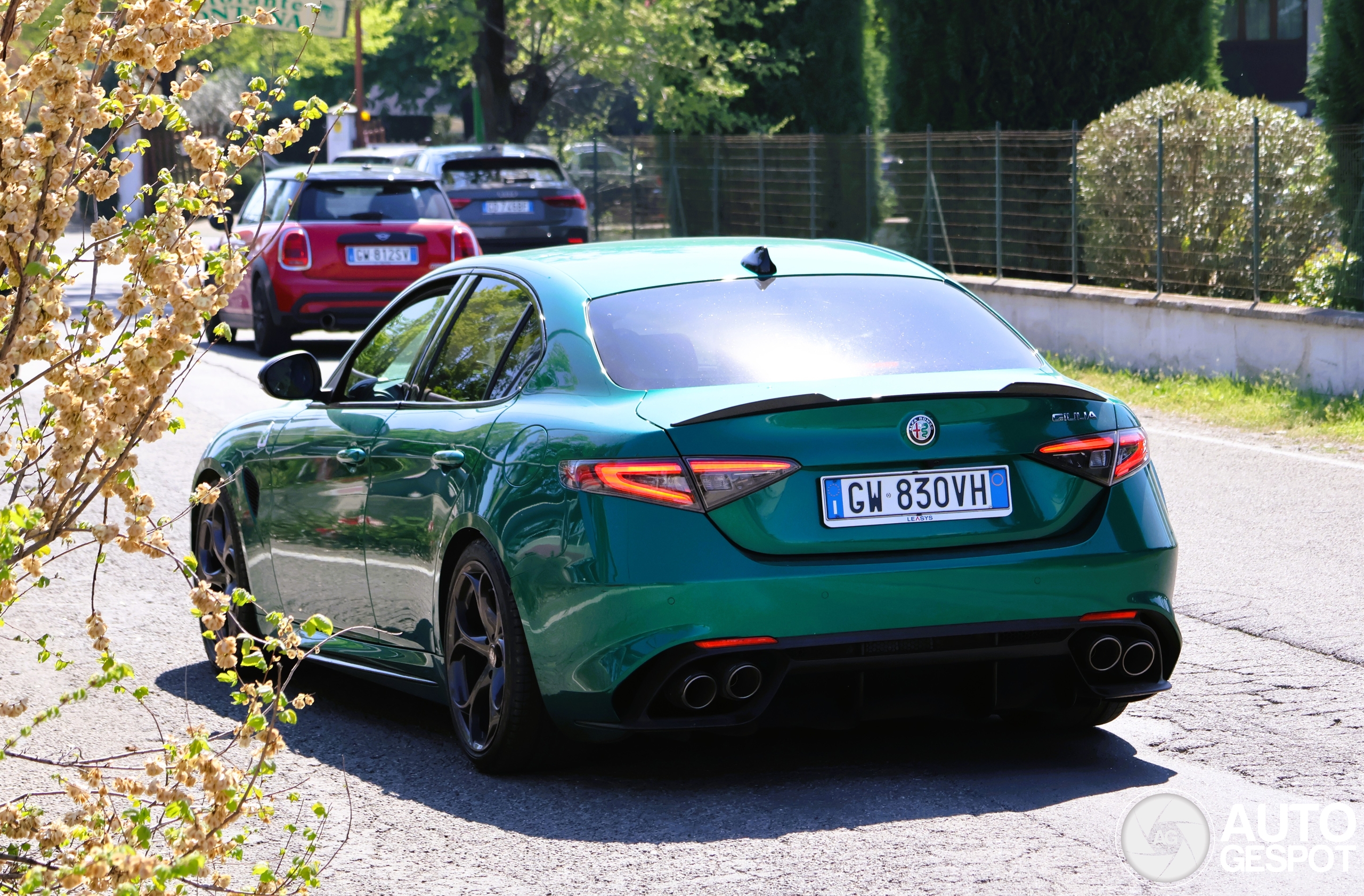 Alfa Romeo Giulia Quadrifoglio 2023 - 15 June 2026 - Autogespot