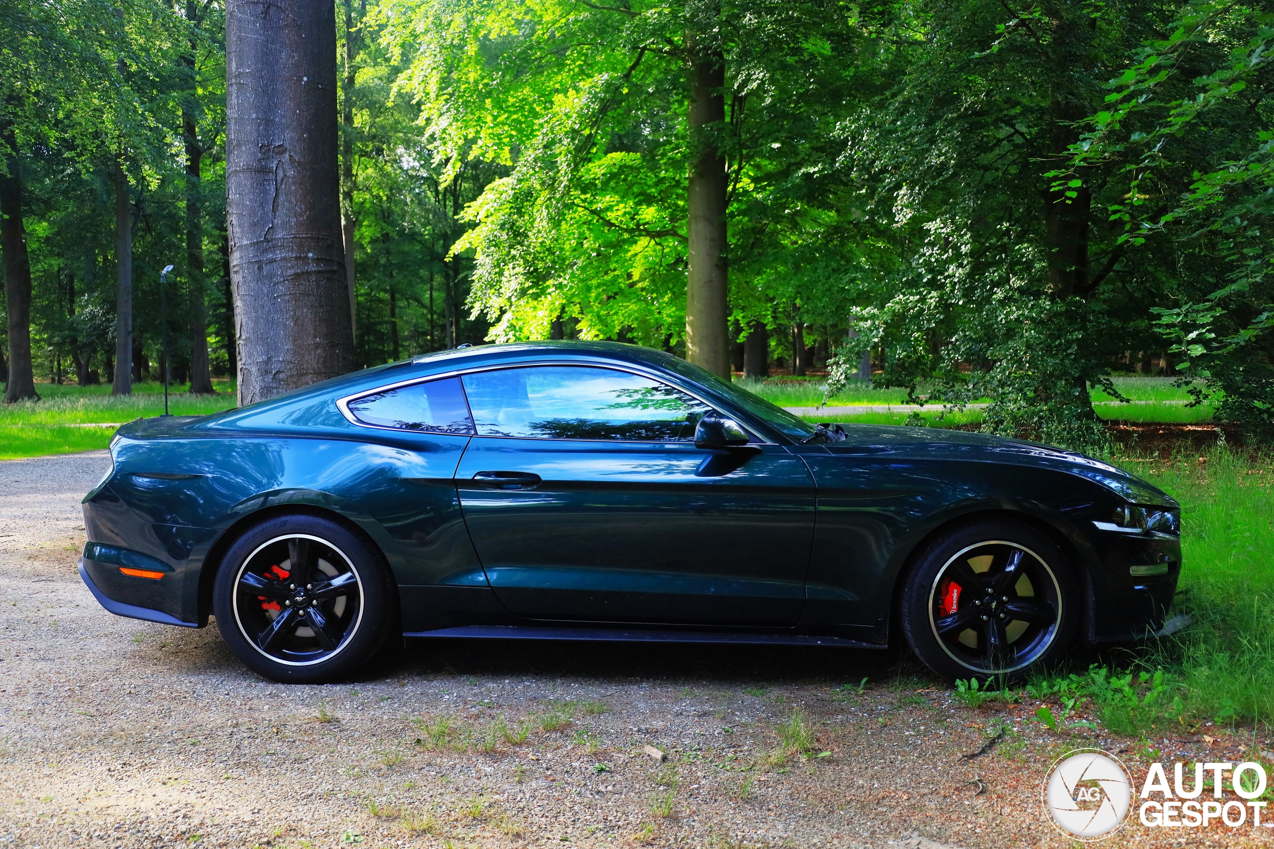 Ford Mustang Bullitt 2019 - 15 June 2026 - Autogespot