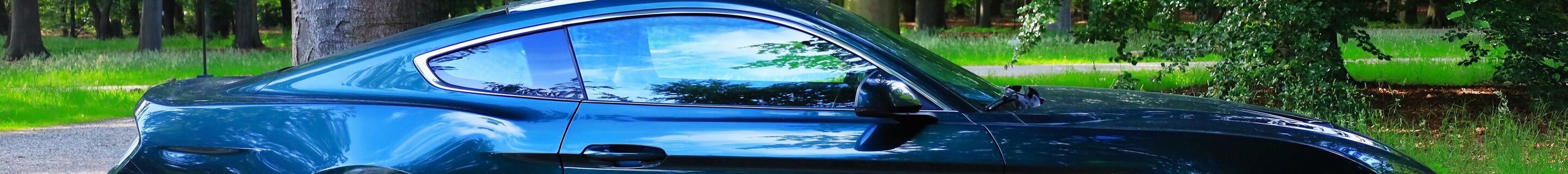 Ford Mustang Bullitt 2019 - 15 June 2026 - Autogespot
