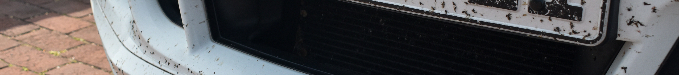 Porsche 991 Targa 4S MkI - 16 June 2026 - Autogespot